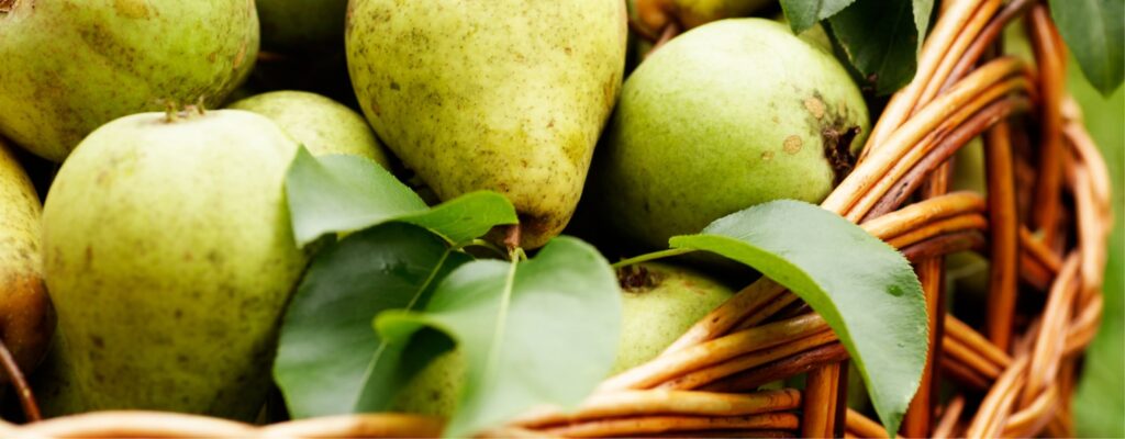 Pear - Bösch Boden Spies