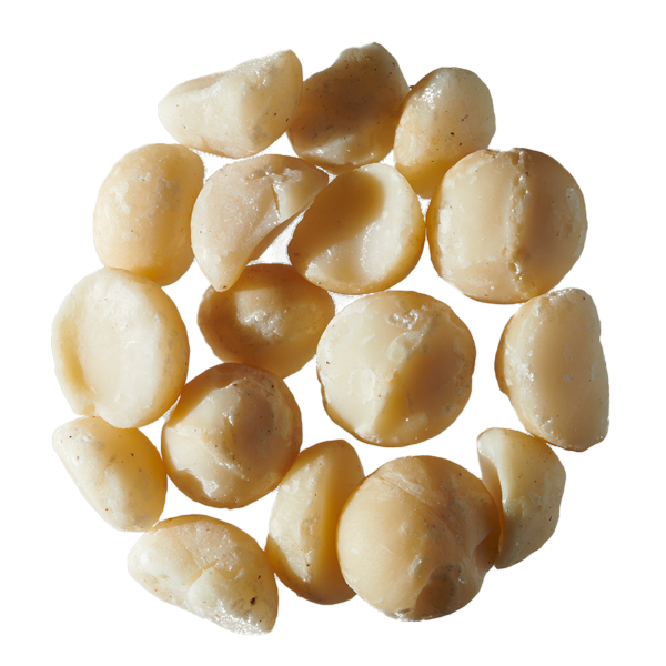 Premium macadamia from Africa - Bösch Boden Spies